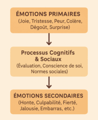 Les émotions secondaires – My Social Skillz